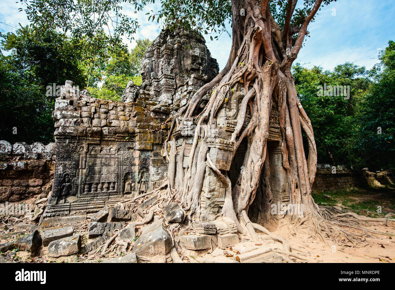 Ta Som jungle temple in Angkor Archeological area in Cambodia Stock ...