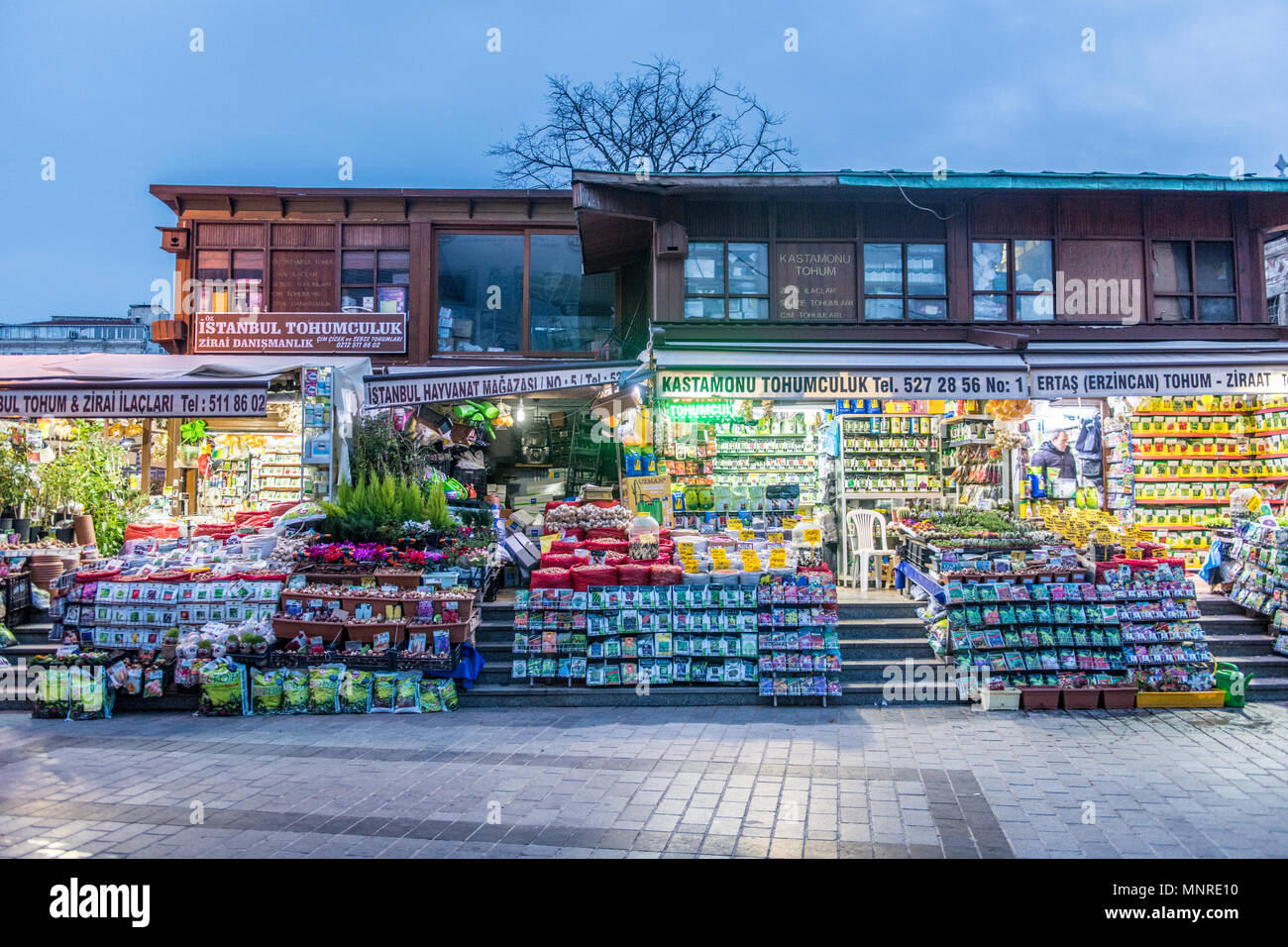 Fluorescent lights still illuminate open storefronts outside of the ...