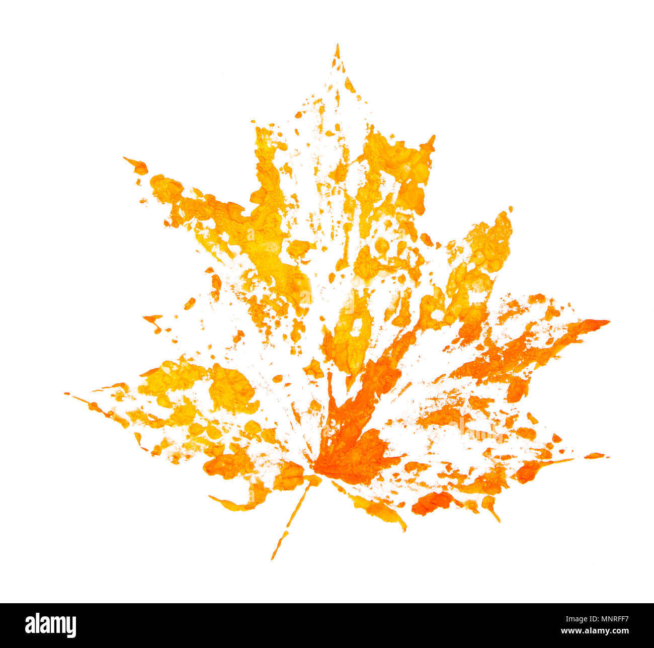 Autumn maple leaf. Drawing by paints. Element of design Stock Photo - Alamy