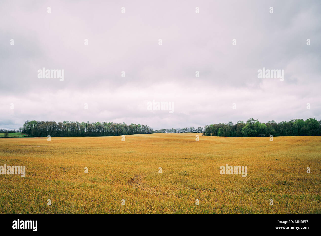 Country Road Indiana High Resolution Stock Photography and Images - Alamy