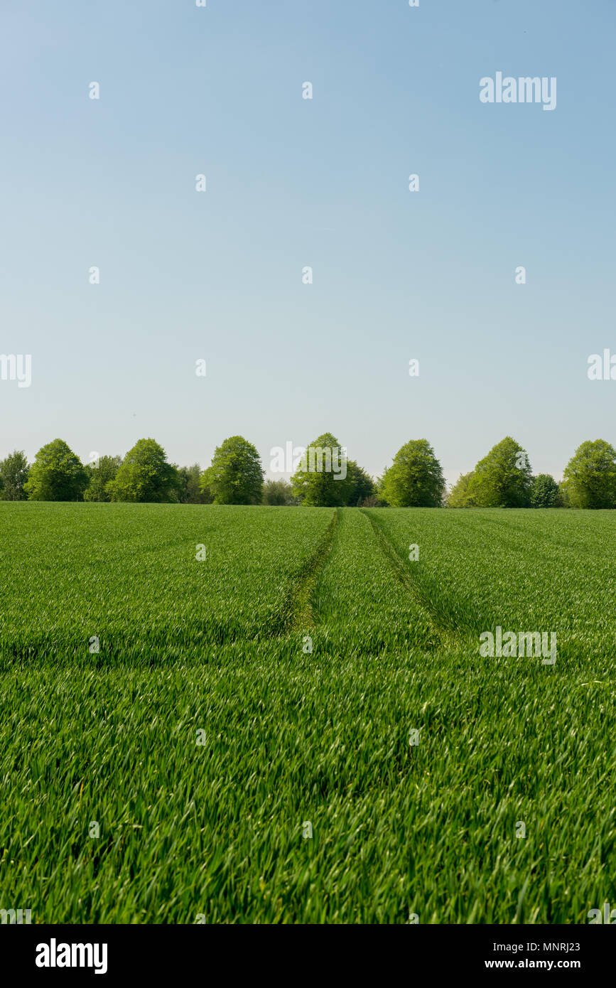 High Melton Parish Doncaster Stock Photo - Alamy