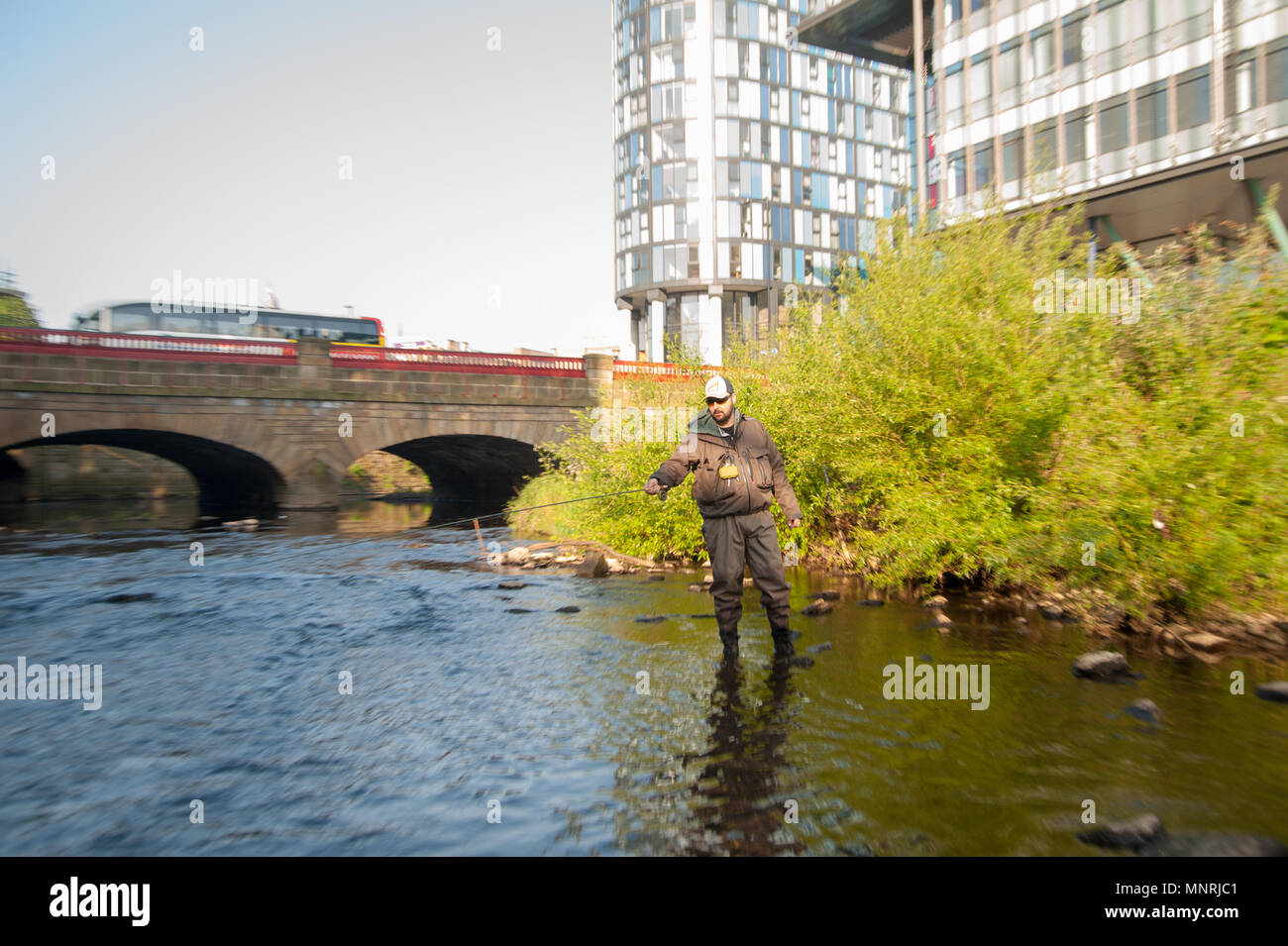 Fly Fishing on the River Don, Sheffield Stock Photo - Alamy