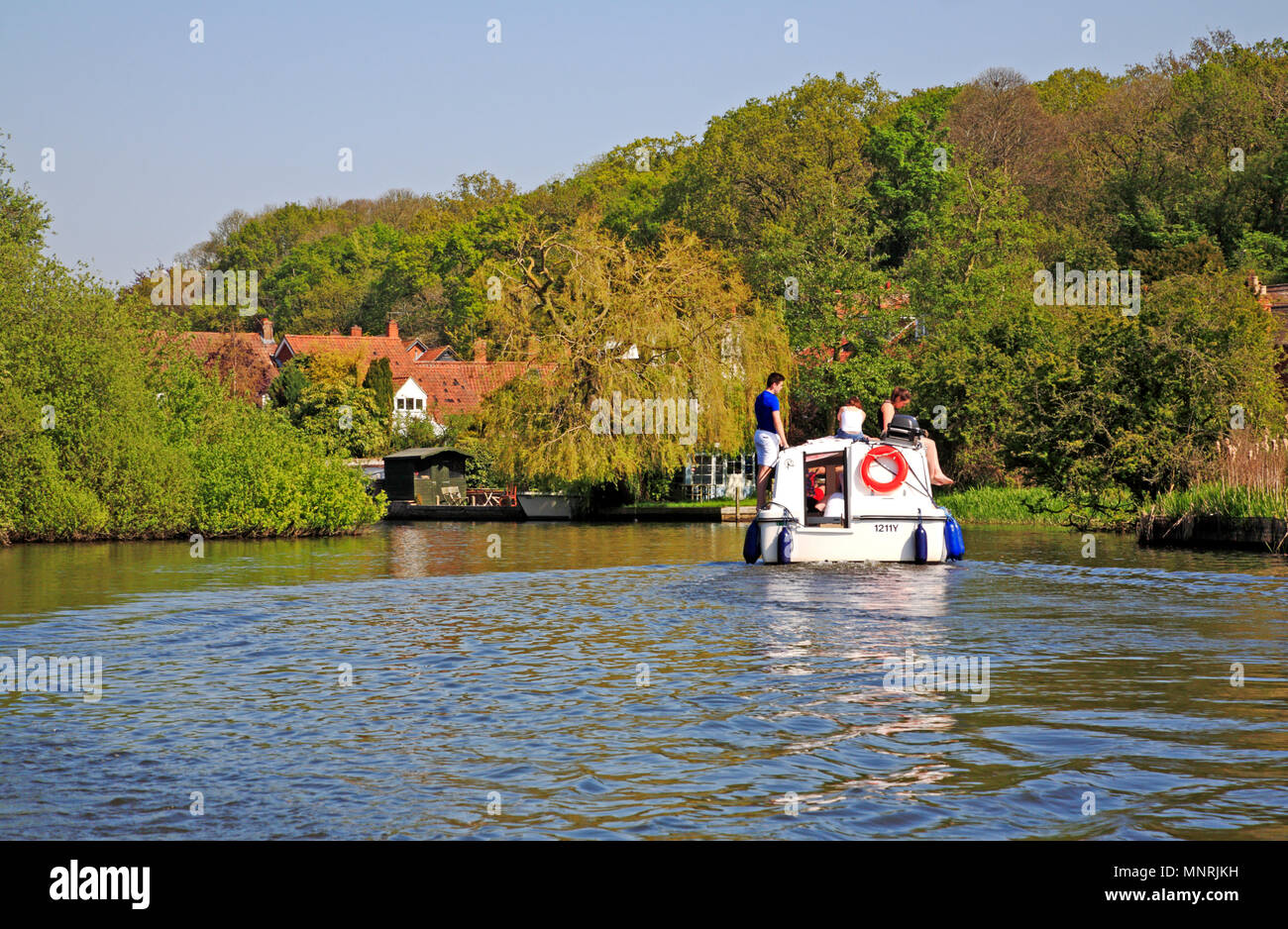 A cruiser on the River Bure on the Norfolk Broads at Belaugh, Norfolk ...