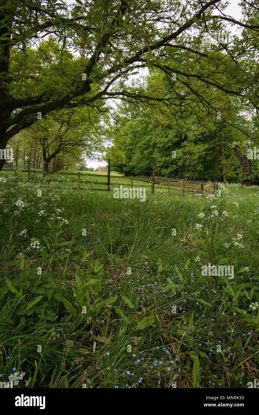 Princes diana garden hi-res stock photography and images - Alamy