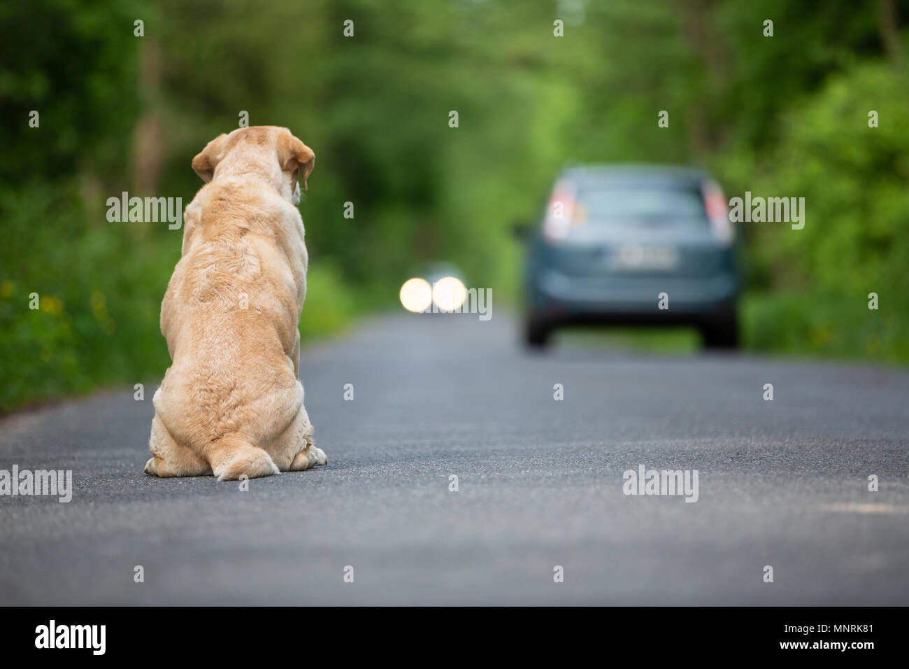 Sad and abandoned hi-res stock photography and images - Alamy