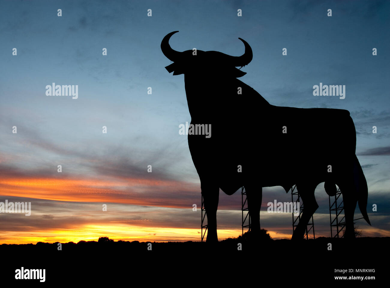 Torear hi-res stock photography and images - Alamy
