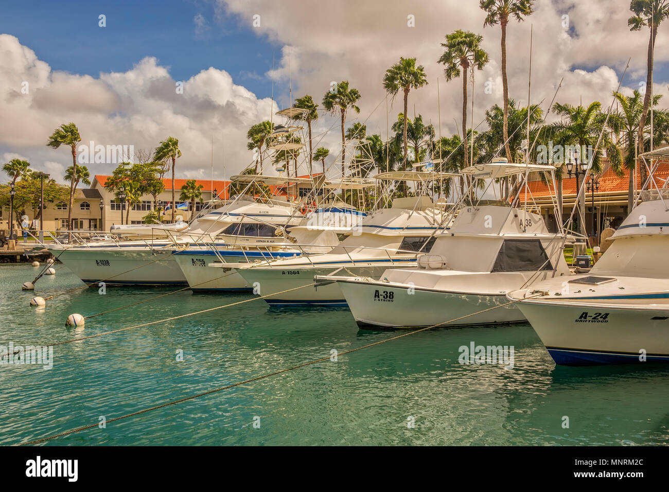 Boats In The Marina, Oranjestad, Aruba, West Indies Stock Photo - Alamy