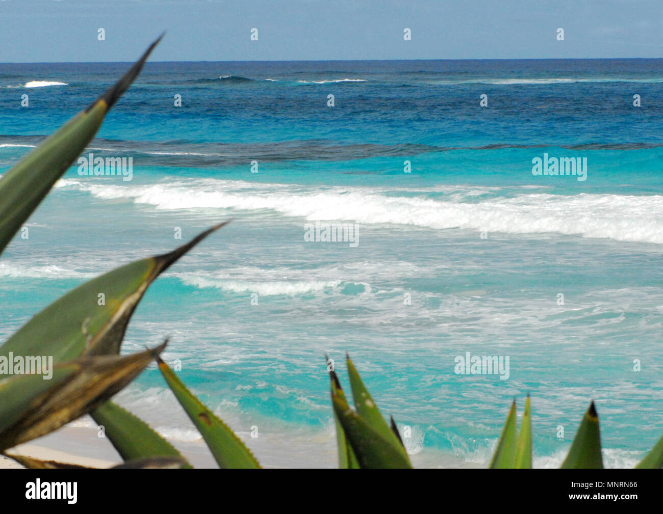 A beautiful panorama of a beach scene with a turquoise sea in an island ...