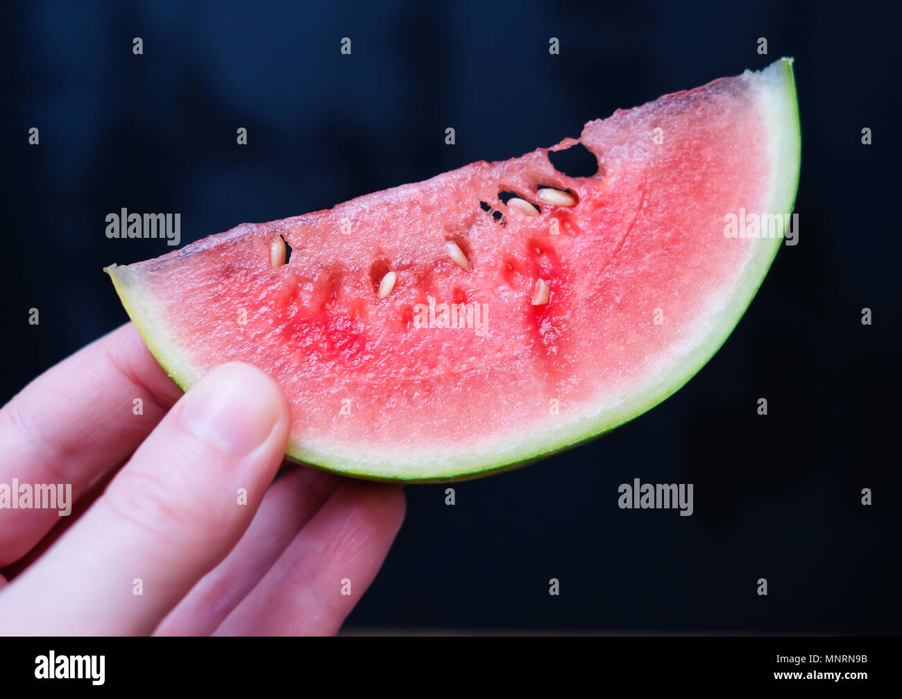 A slice of juicy fresh mini watermelon in a female hand on a dark ...