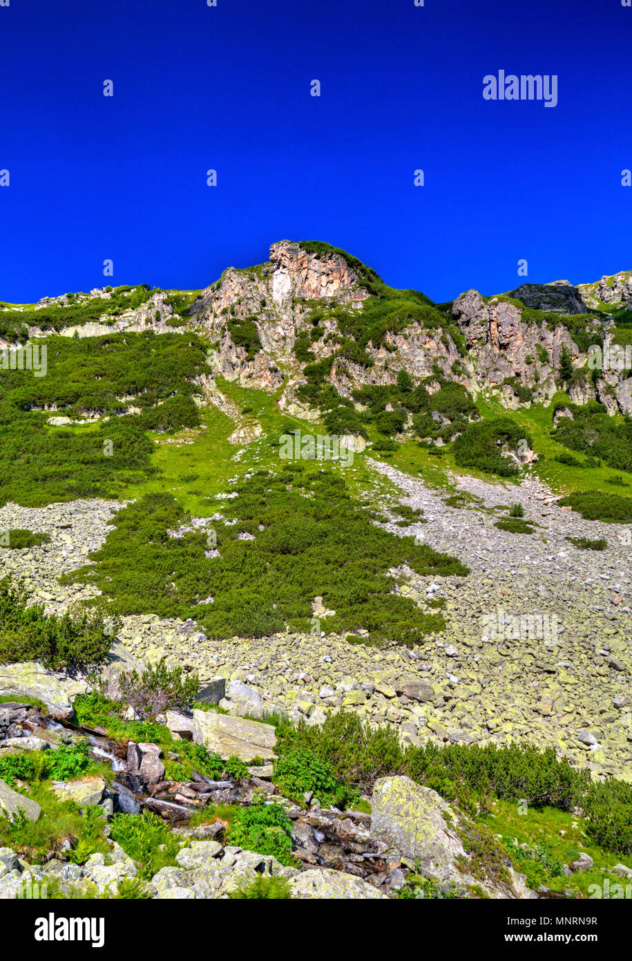 Beautiful landscape in the high mountain Stock Photo - Alamy