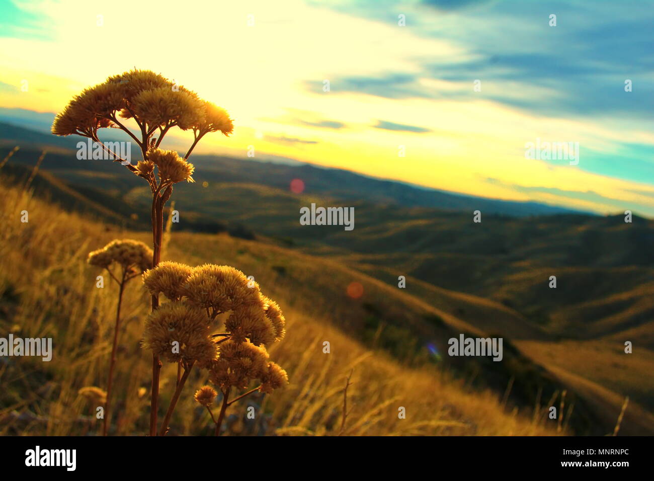 Landscape overview of Mountain Home, ID Stock Photo - Alamy