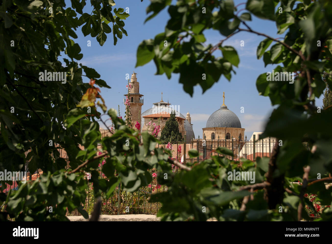 Jerusalem, Israel - May 16, 2018: View through a tree with green leaves ...