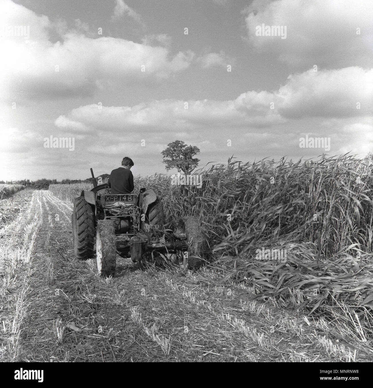 1960s field crops on farm hi-res stock photography and images - Alamy