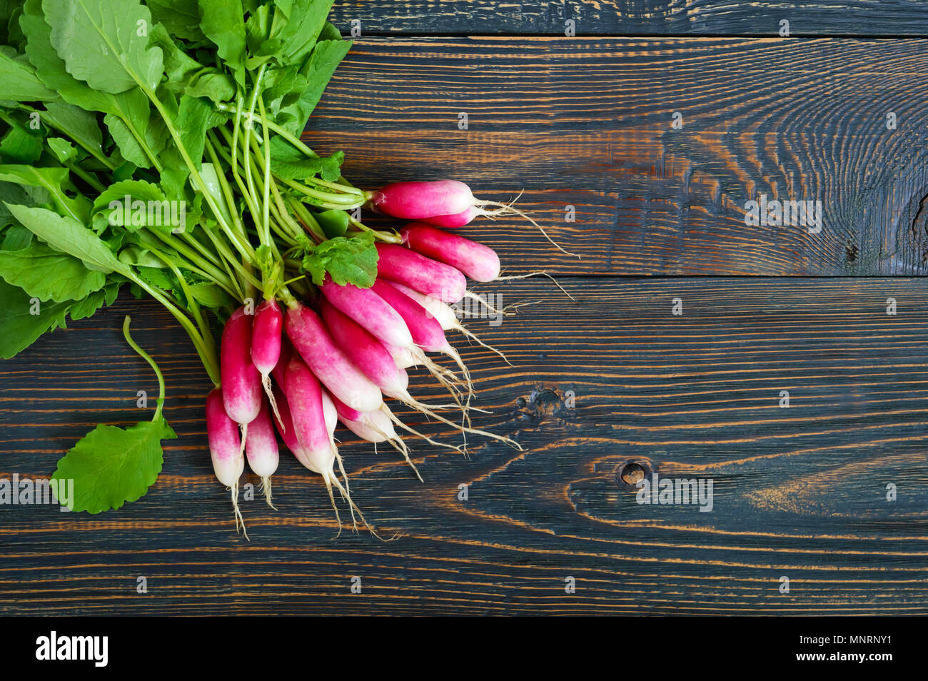 Summer harvested red radish. Growing organic vegetables. Large bunch of ...