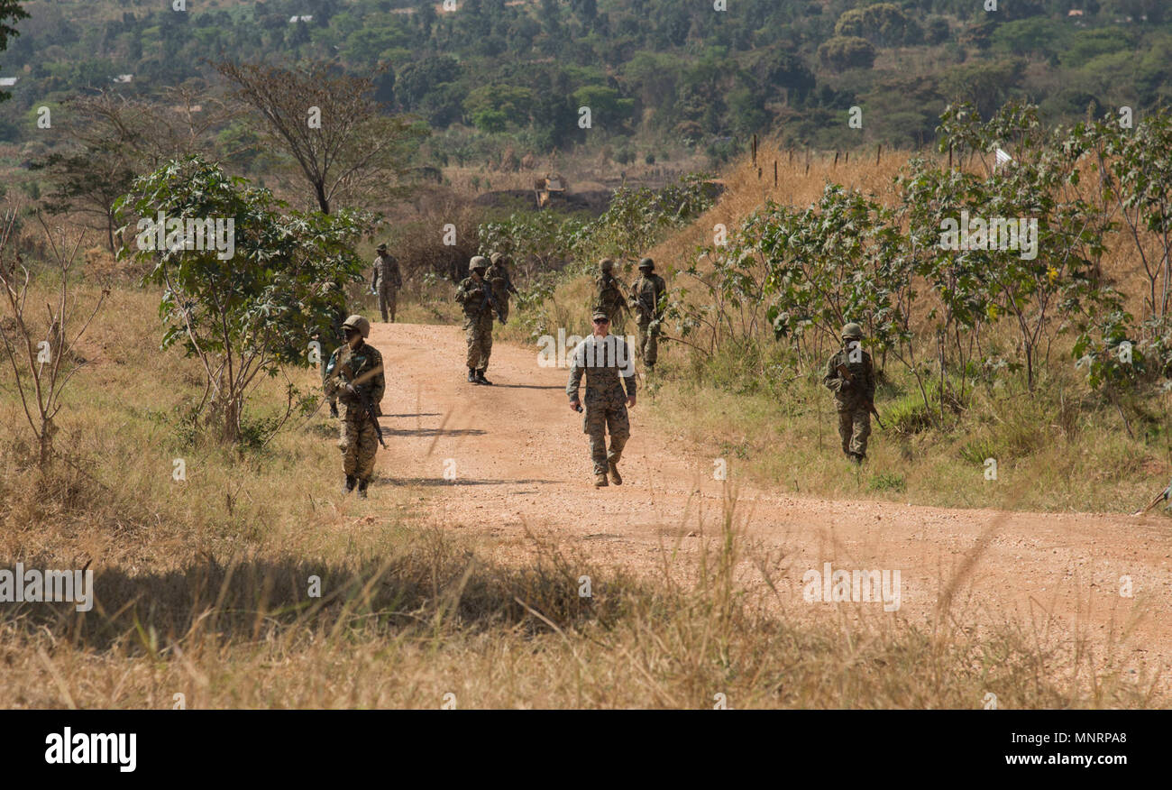 Uganda Peoples' Defence Force soldiers practice ground maneuvers during ...