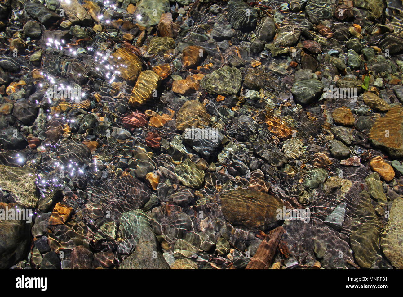 Colorful river rocks seen at the bottom of a fresh cold stream in ...