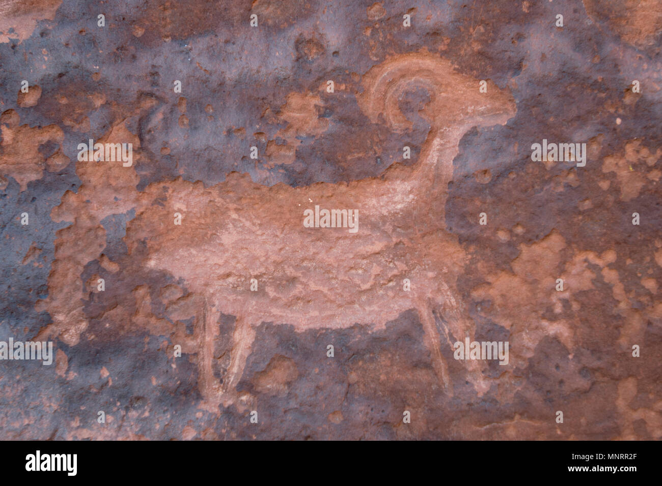 Bighorn Sheep, petroglyph, Fremont River canyon, Capitol Reef National ...
