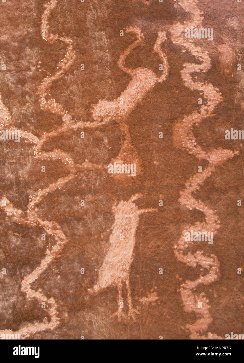 Petroglyphs, Fremont River canyon, Capitol Reef National Park, Utah ...