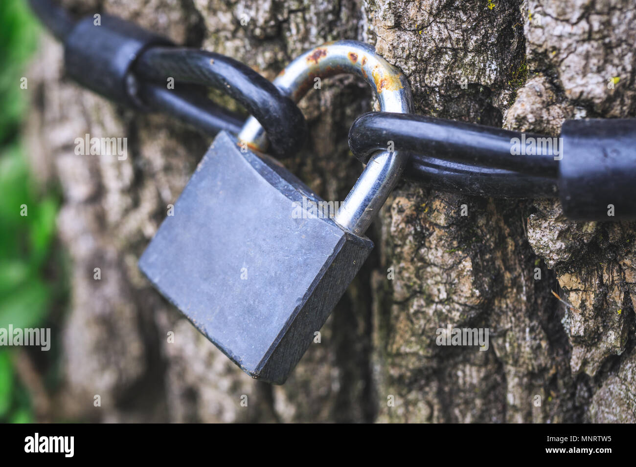 Talisman chain hi-res stock photography and images - Alamy