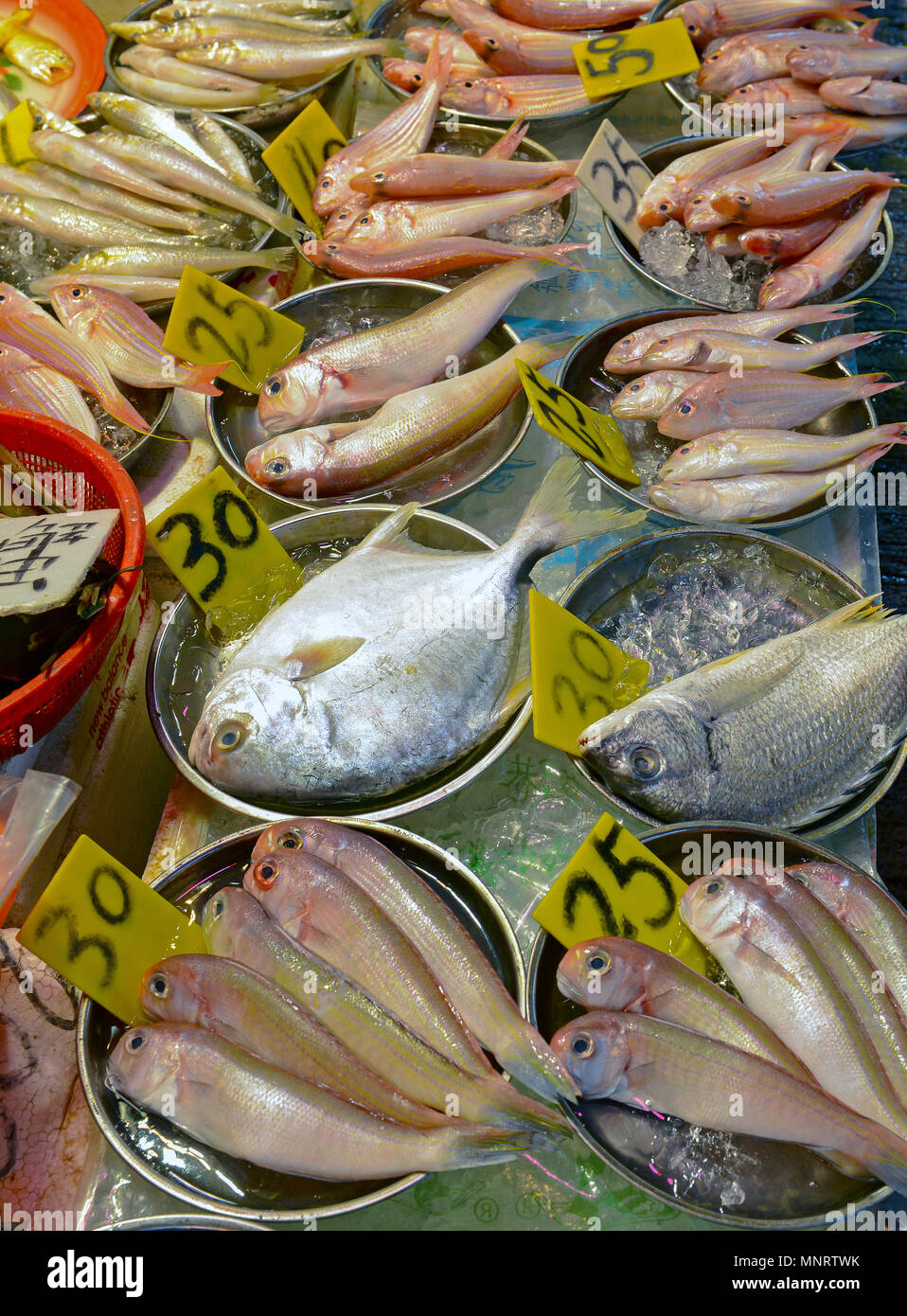 Fresh fish market in chinatown hi-res stock photography and images - Alamy