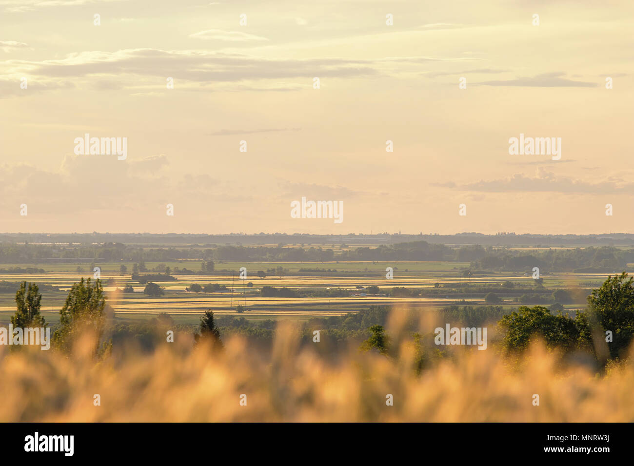 Summer Countryside Fields. Distant fields landscape Stock Photo - Alamy