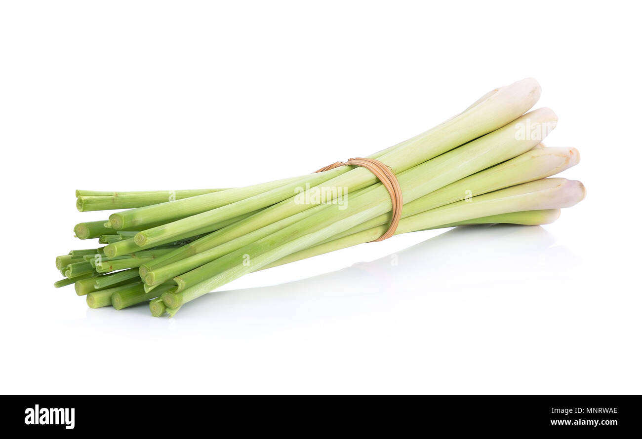 Cymbopogon citratus lemon grass hi-res stock photography and images - Alamy