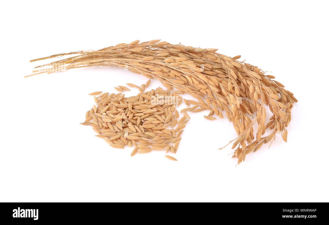 Rice husk Cut Out Stock Images & Pictures - Alamy