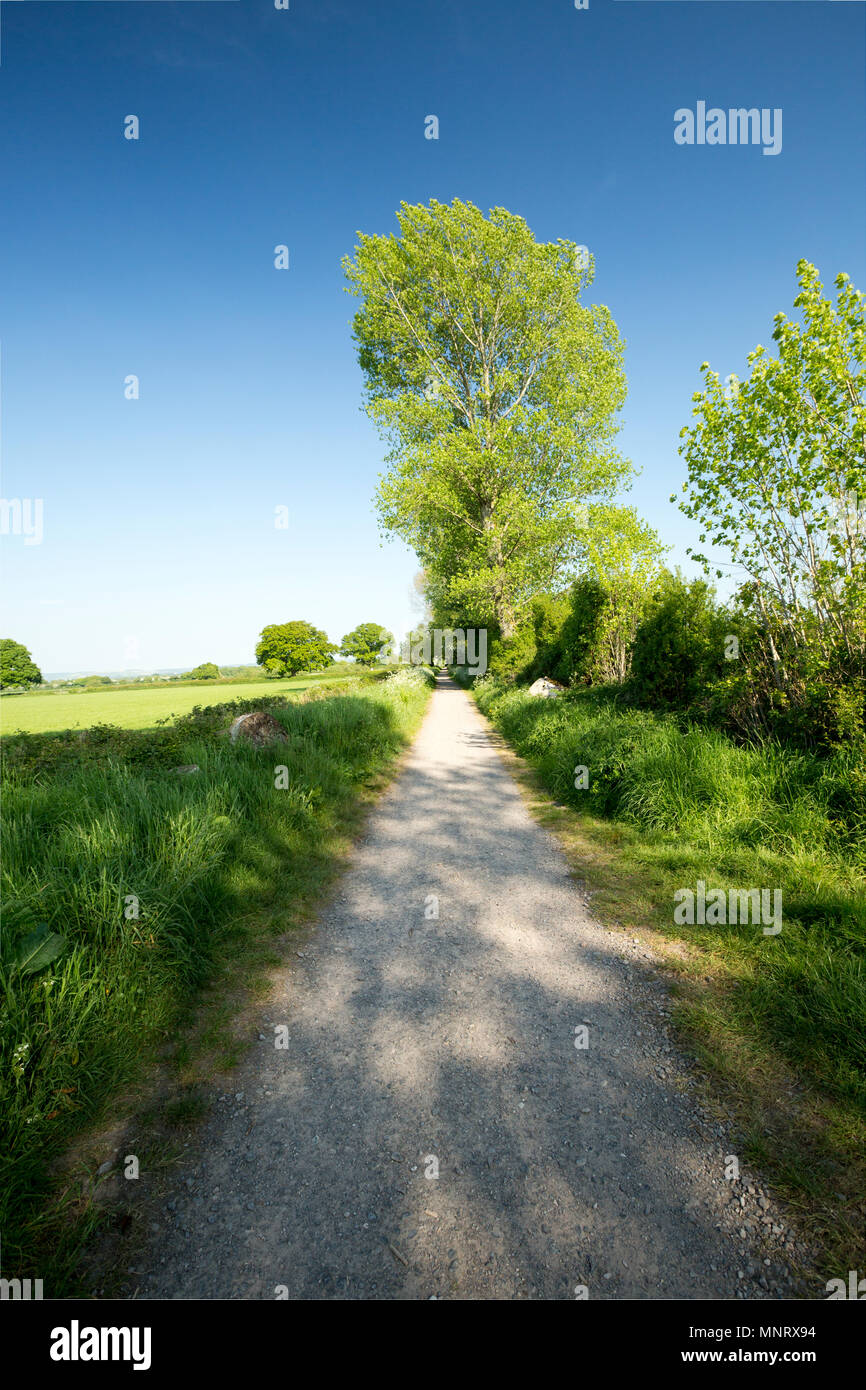 Fiddleford mill hi-res stock photography and images - Alamy