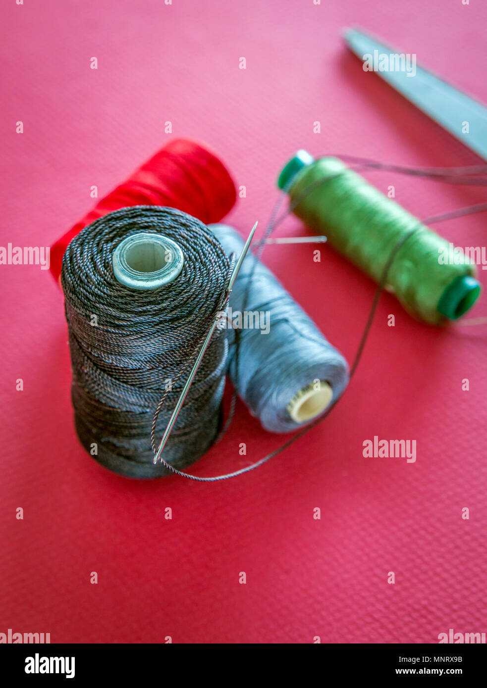 Spool of thread and needle Stock Photo - Alamy