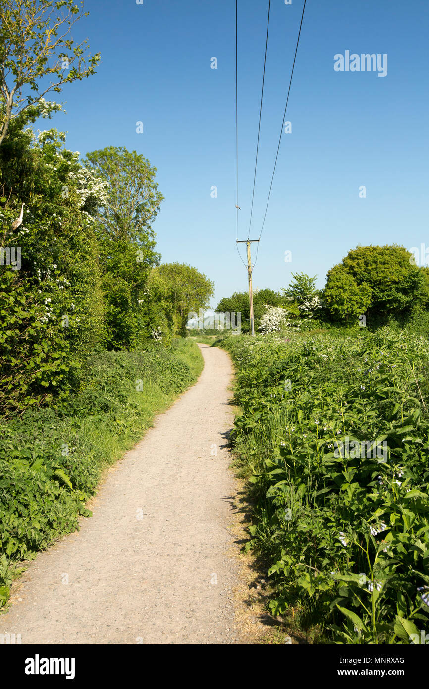Fiddleford mill hi-res stock photography and images - Alamy