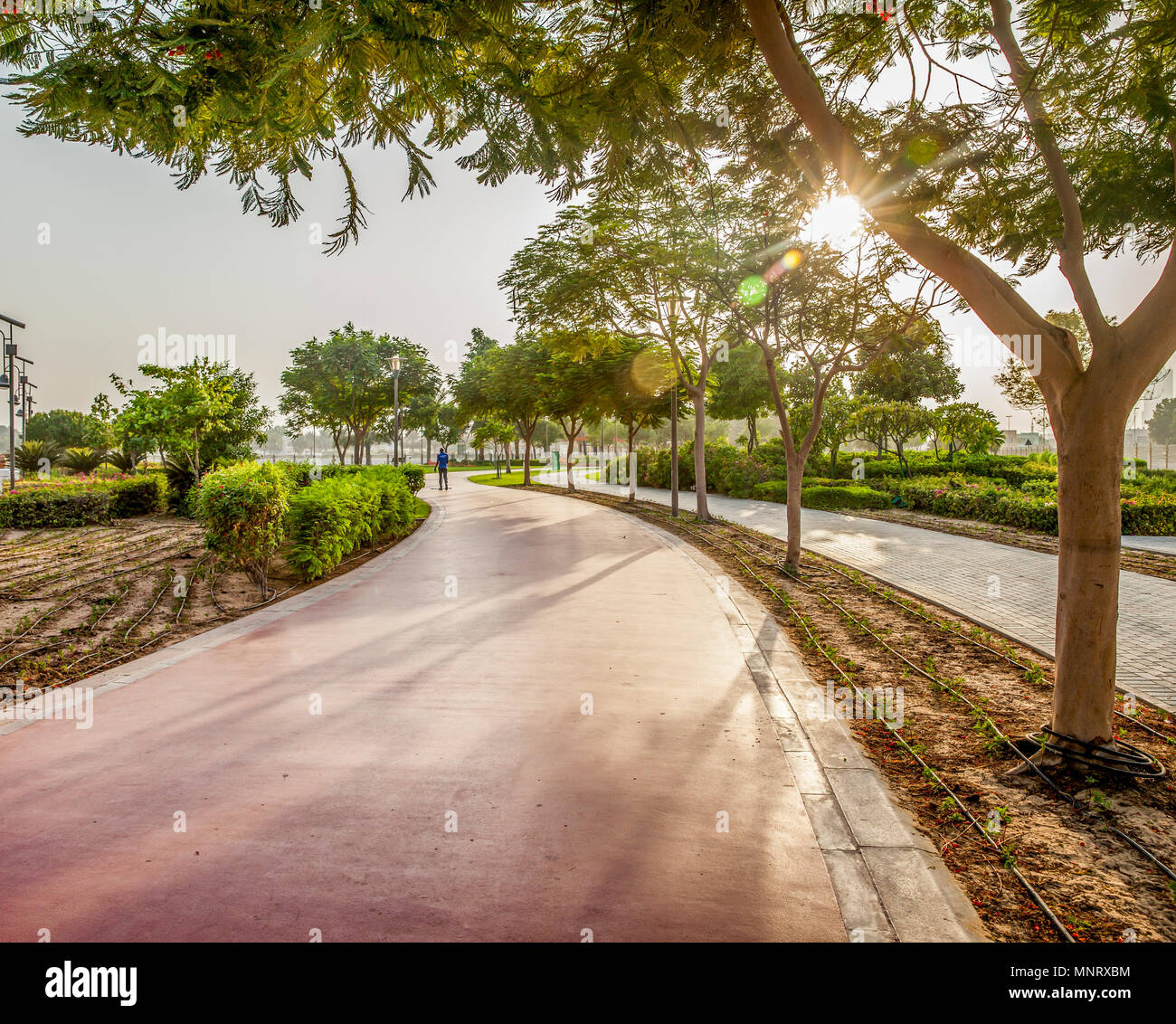 Jogging track in a park Dubai Stock Photo - Alamy