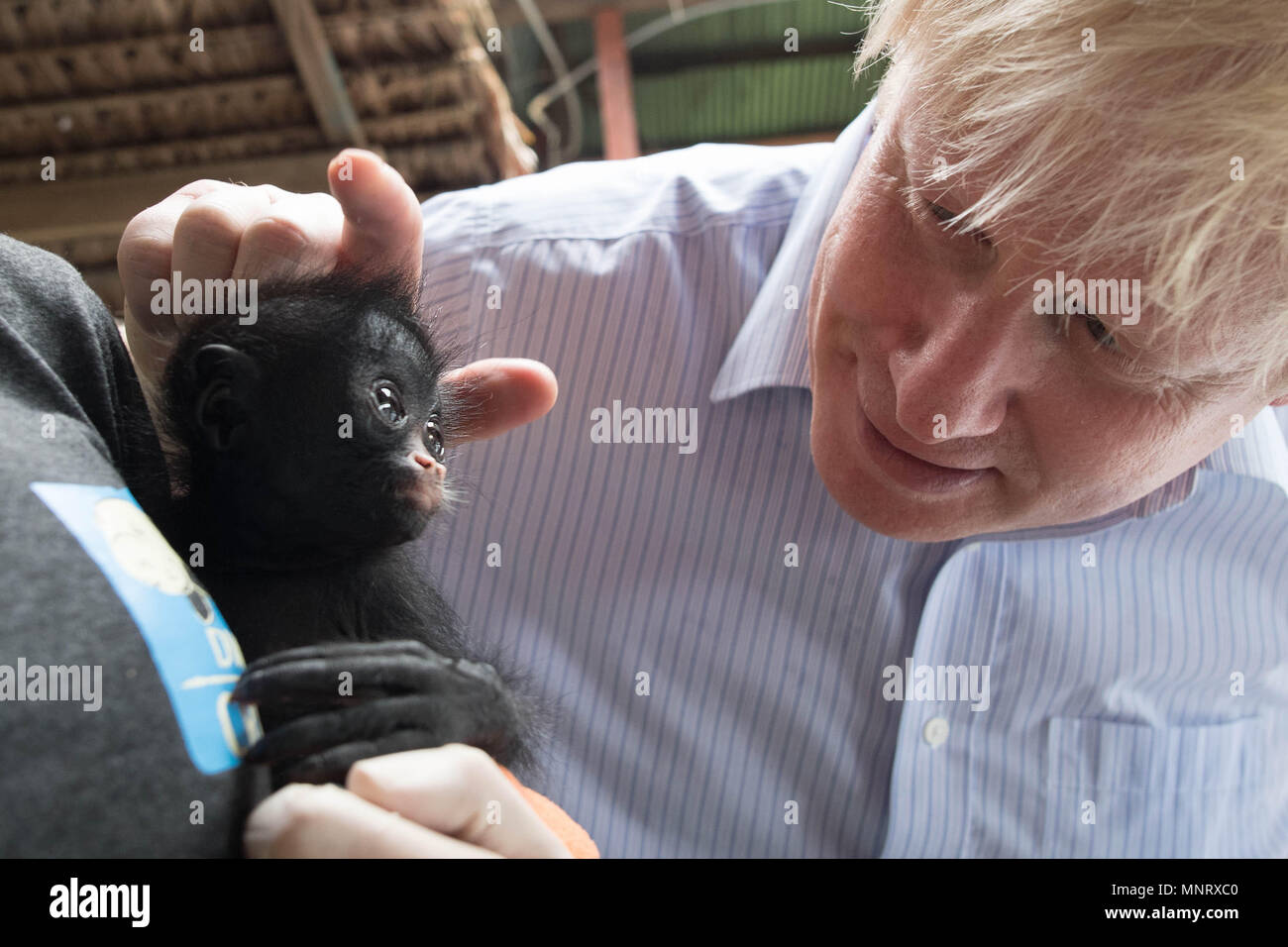 Foreign Secretary Boris Johnson is shown a baby black spider monkey ...