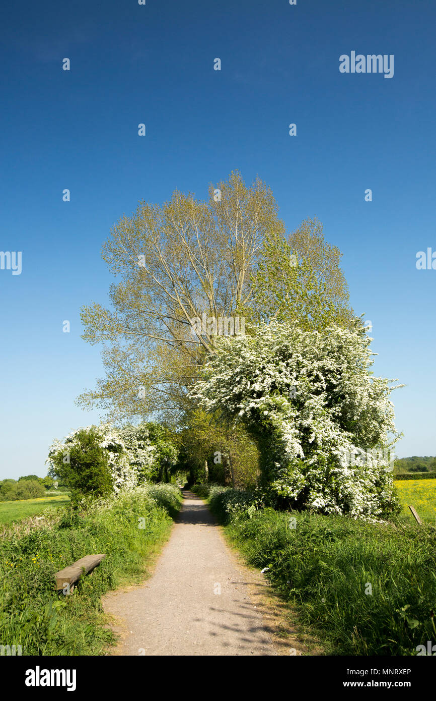 Shillingstone and sturminster newton dorset hi-res stock photography ...