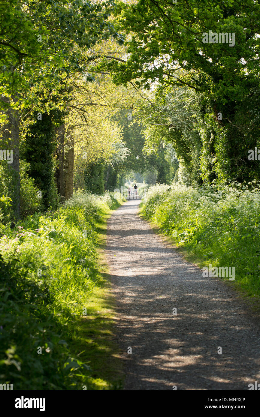 Fiddleford mill hi-res stock photography and images - Alamy