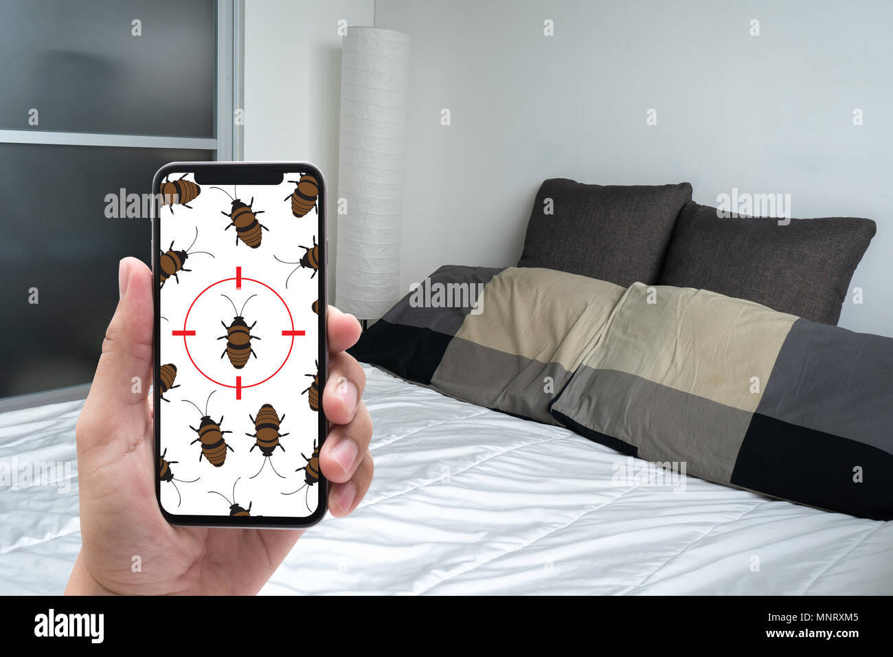 Women are checking for unusual things and detecting bed bugs in the ...