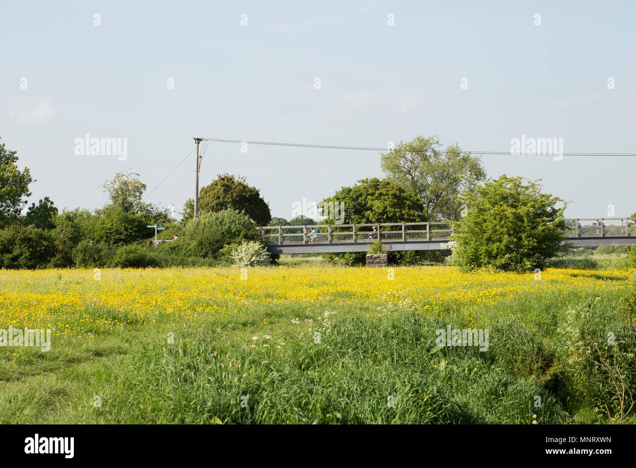 Bridge over the Dorset Stour River downstream from Fiddleford Mill ...