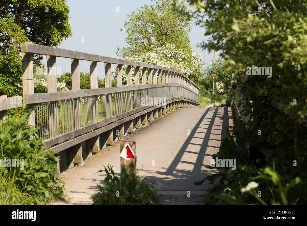Bridge over the Dorset Stour river near Fiddleford Mill downstream from ...