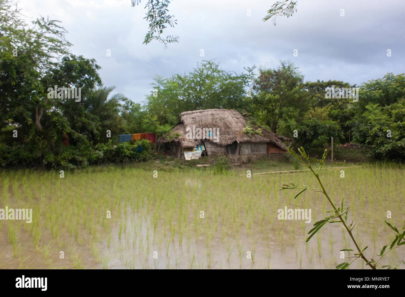A rural house in Khulna,Bangladesh Stock Photo - Alamy
