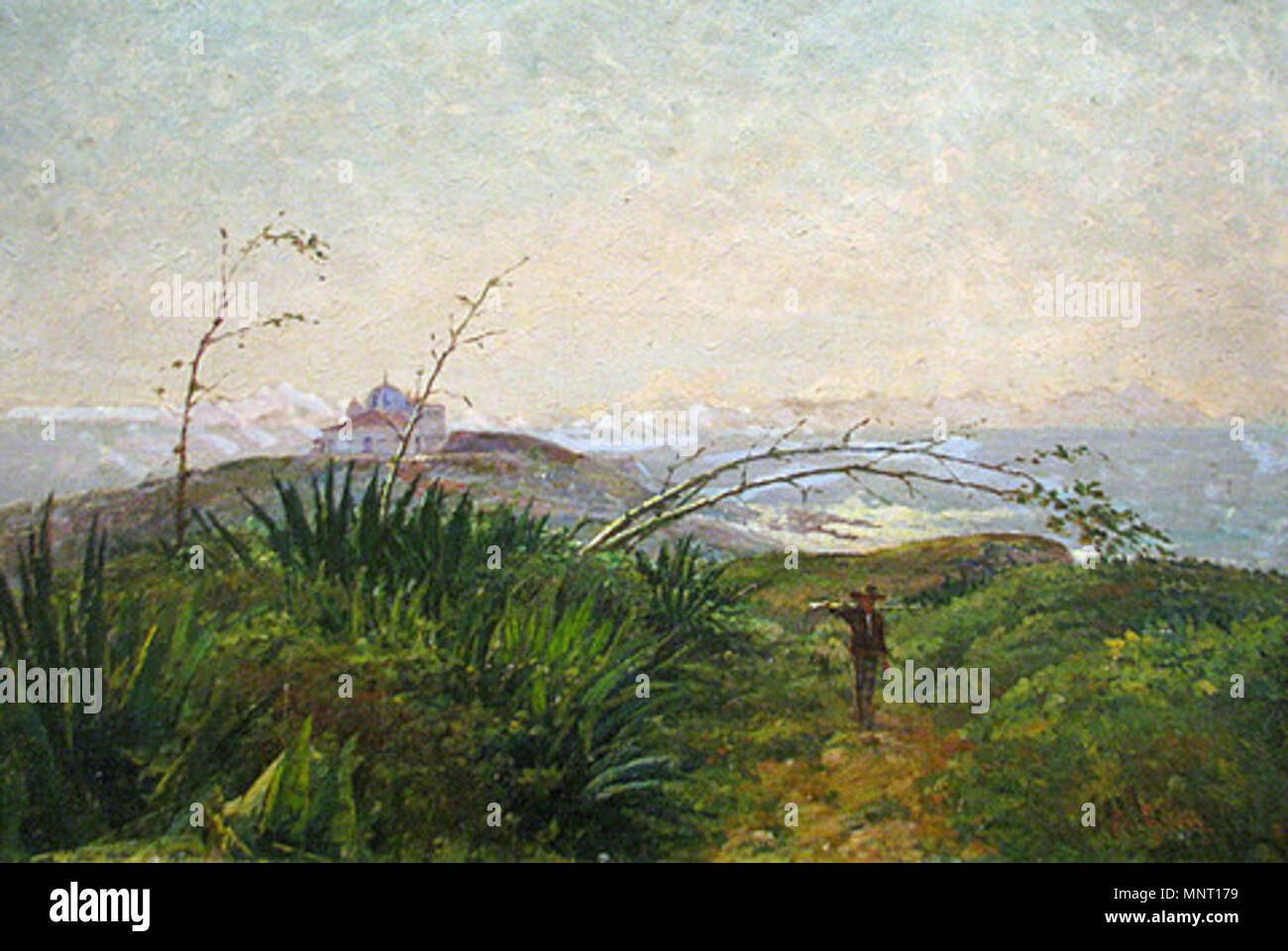 Agaves 19th century. 961 Benjamin Parlagreco - Piteiras Stock Photo - Alamy