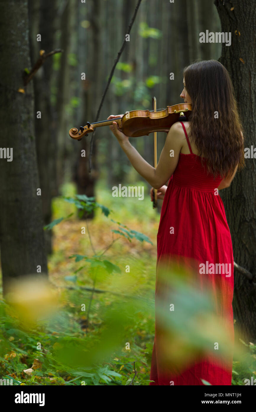 Pop violinist hi-res stock photography and images - Alamy