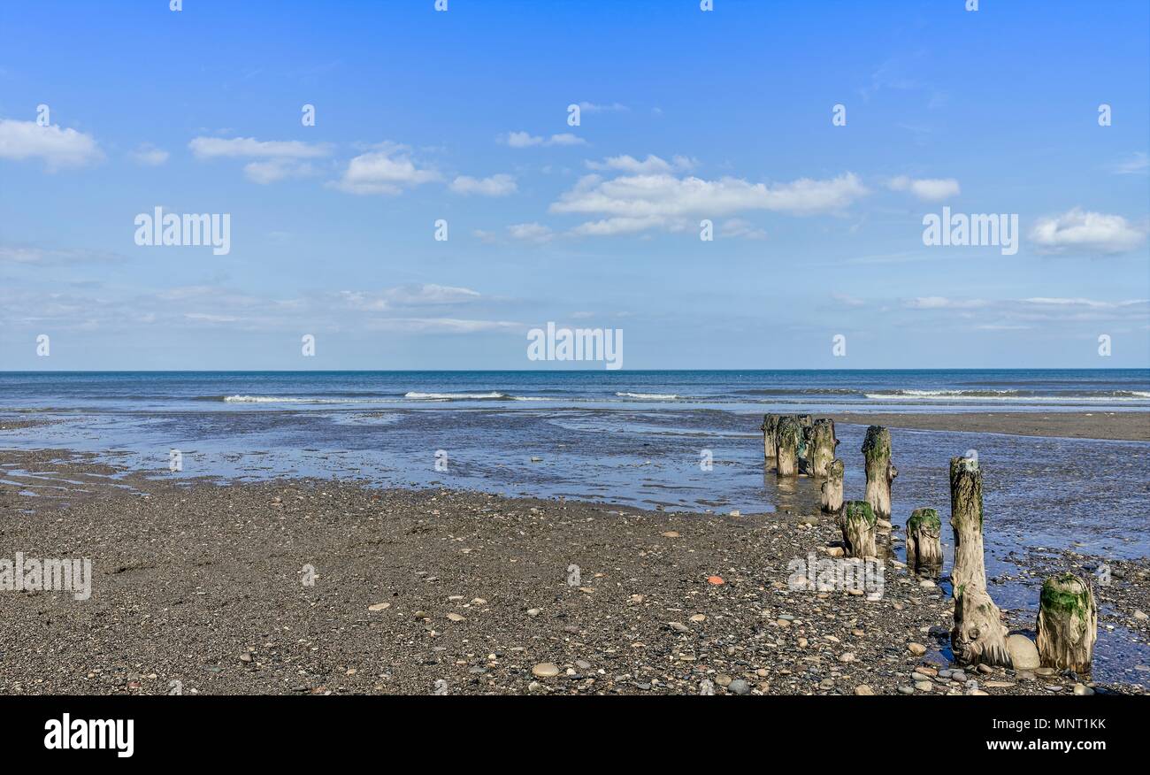 The remains of a wooden breakwater on the beach at Sandsend near Whitby ...