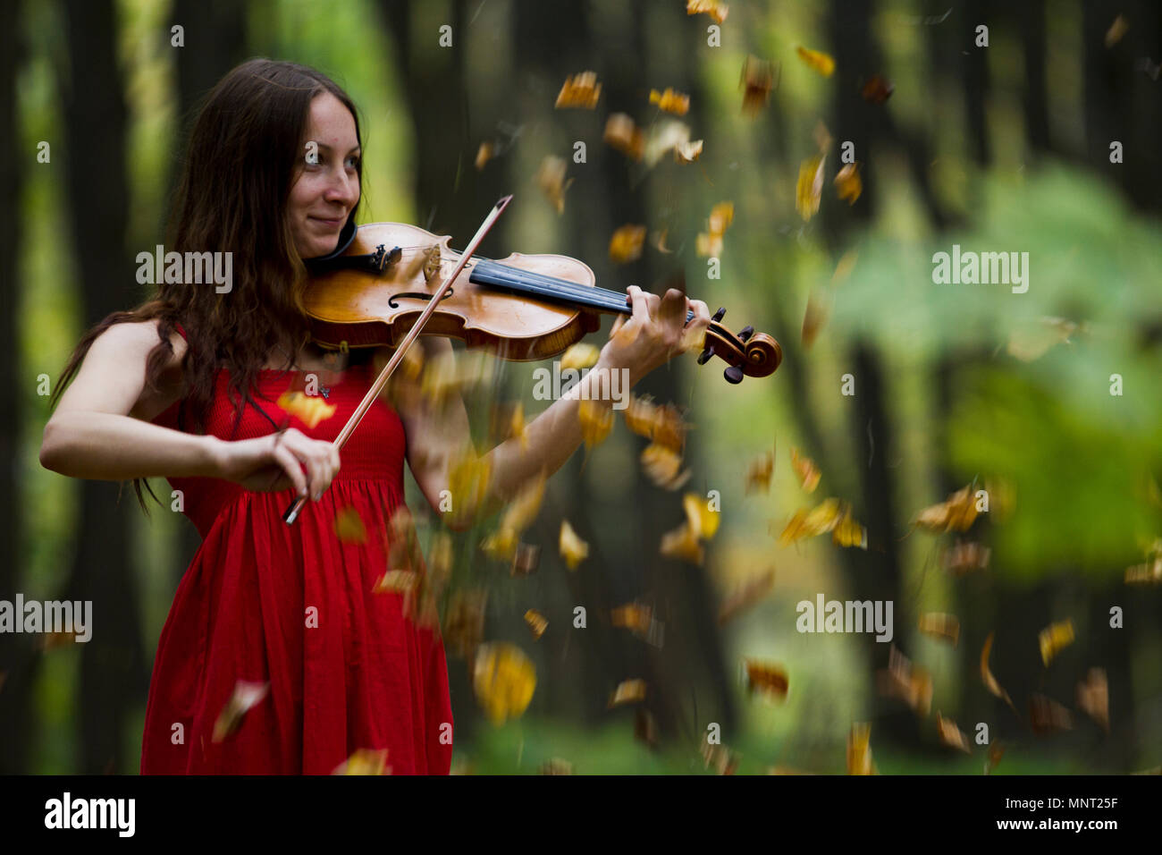 Girl in a red dress playing the violin in the woods, soft light Stock ...