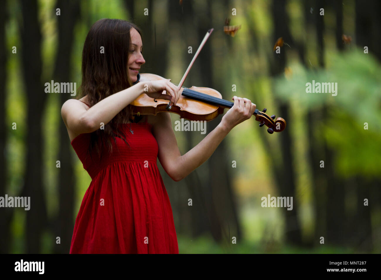 Girl in a red dress playing the violin in the woods, soft light Stock ...
