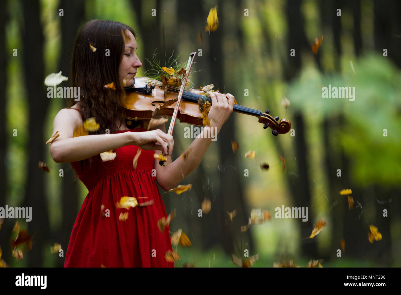 Girl in a red dress playing the violin in the woods, soft light Stock ...