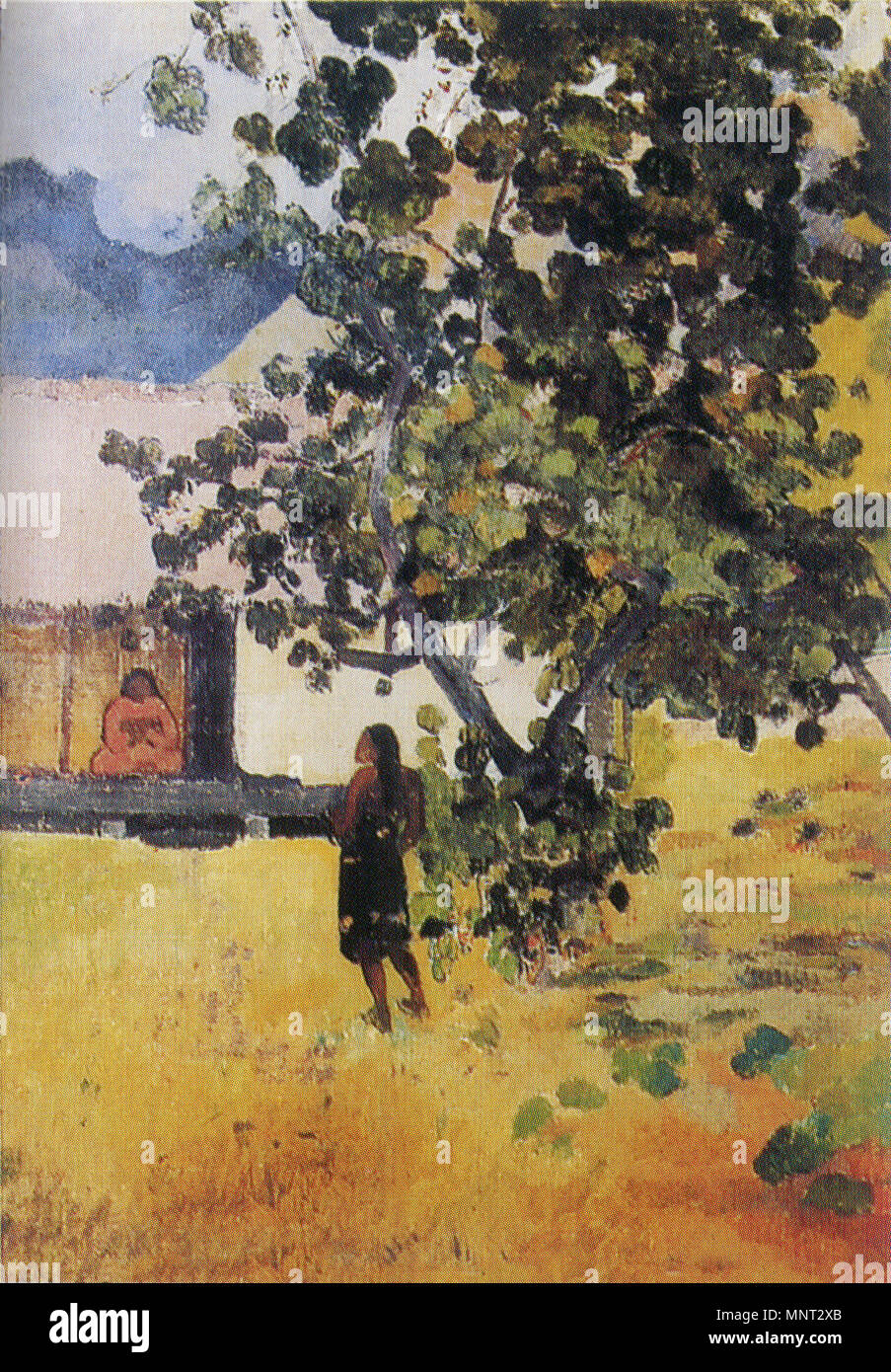 Te reo hi-res stock photography and images - Alamy