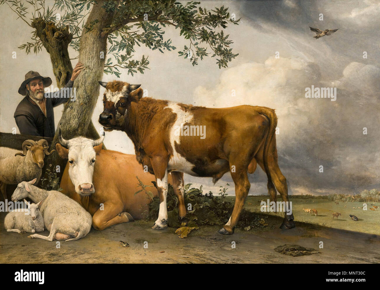 The Bull . A bull, cow, ram, ewe and lam with herder in a landscape. On ...