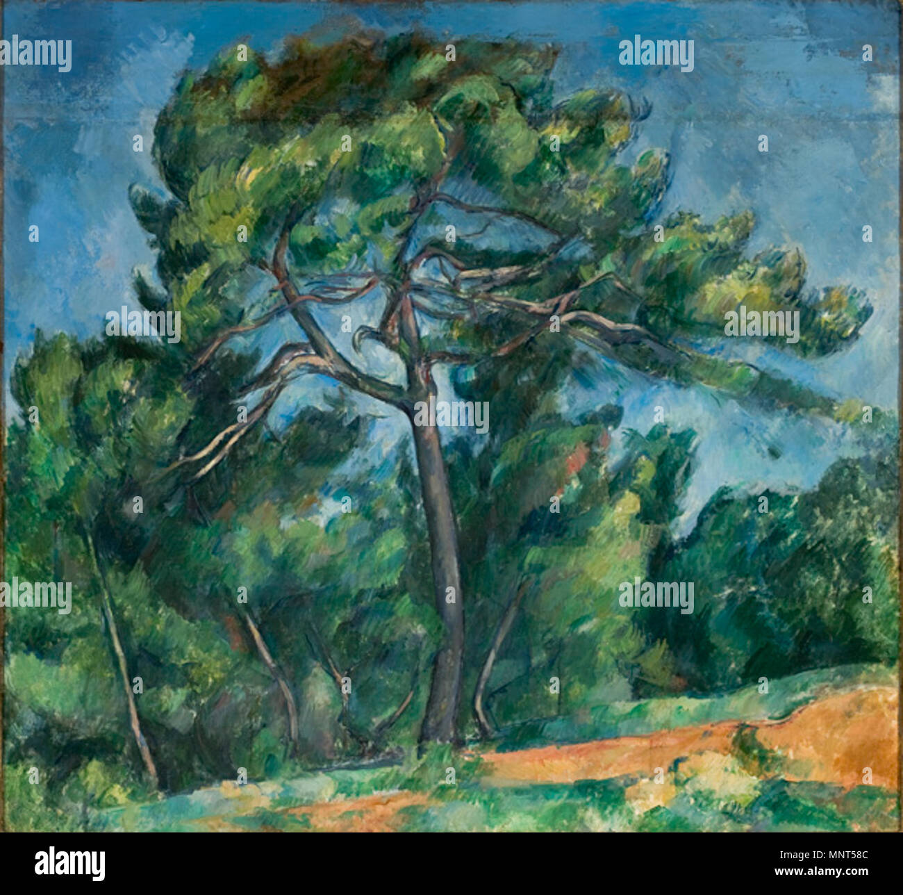 Pinheiro grande hi-res stock photography and images - Alamy