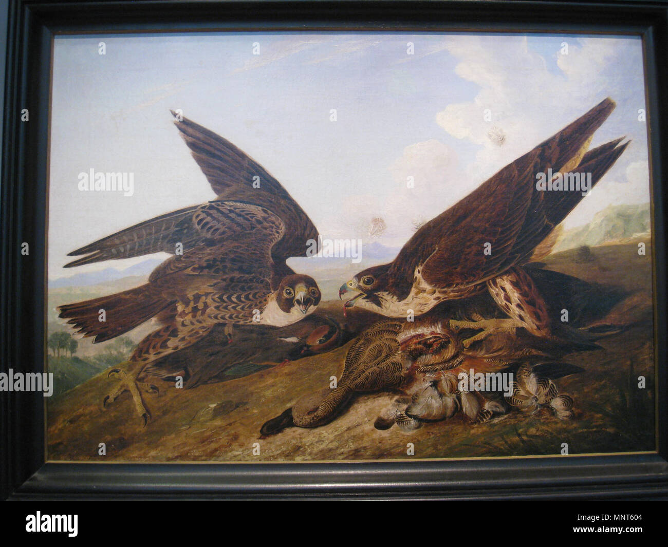 1827 1851 hi-res stock photography and images - Alamy