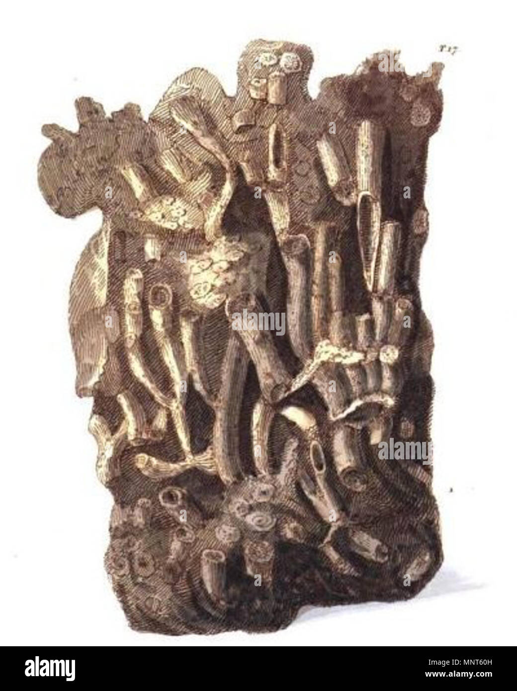 Longitudinal direction hi-res stock photography and images - Alamy