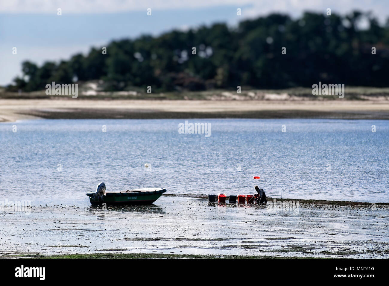 Man clamming hi-res stock photography and images - Alamy